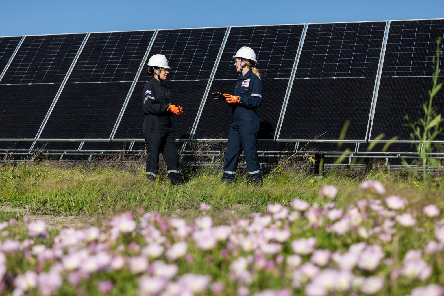 About the project - Candwr Solar Farm